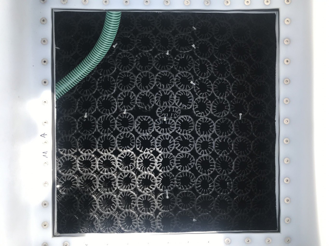 ClearFox® FBBR - clearfox.com FBBR