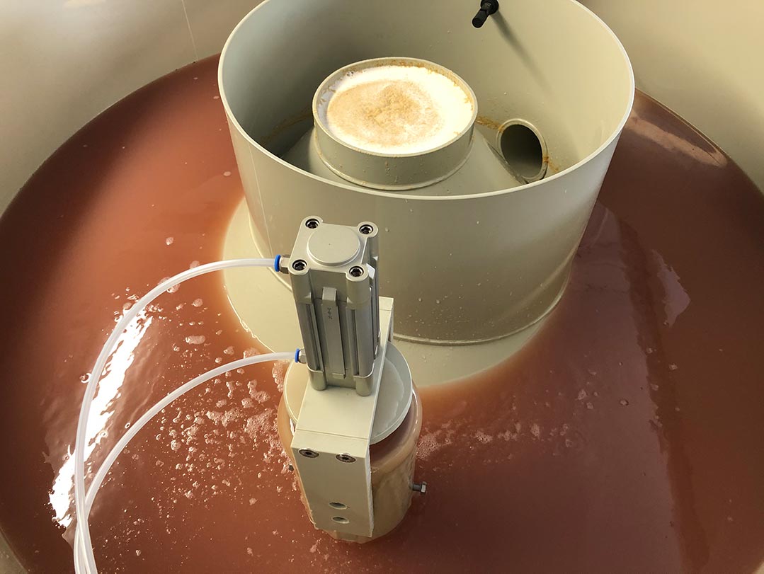 Efficient Wastewater Treatment In Beef Processing